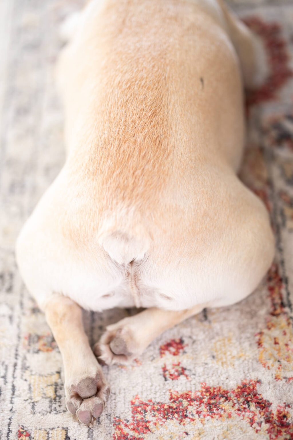 May Flowers with Wedding Planner and Designer Debi Lilly | shantiknight.com